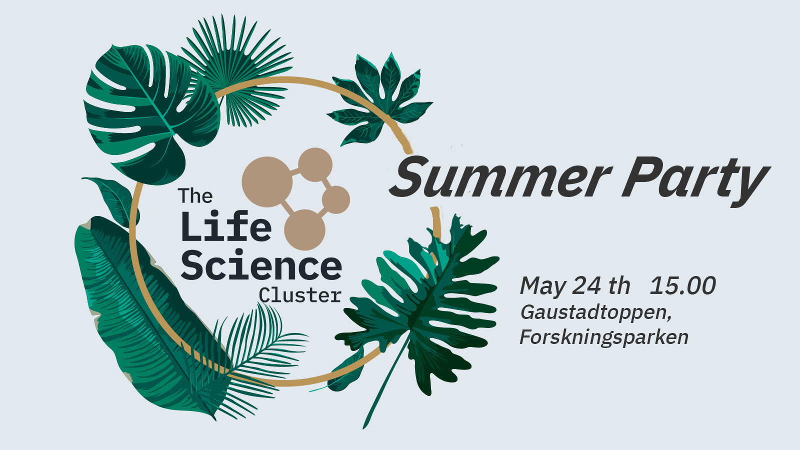 The Life Science Cluster Summer Party The Life Science Cluster the-life-science-cluster-summer-party-the-life-science-cluster